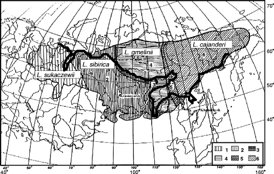 Geographical Distribution and Genetics of Siberian Larch Species ...