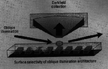 The Copper Damascene Process and Chemical Mechanical Polishing ...