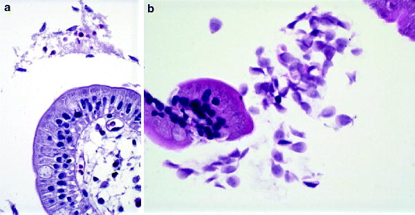Intestinal Flagellates | SpringerLink