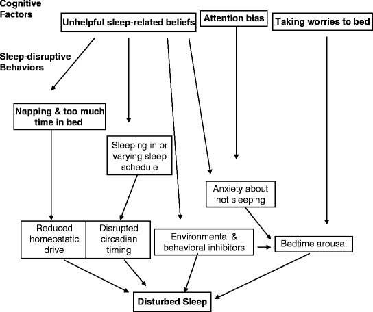 Cognitive Behavior Therapy for Insomnia: Treatment Considerations ...