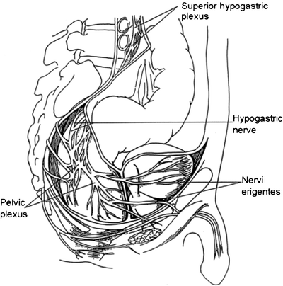 Postoperative Complications | SpringerLink