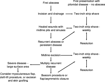Pilonidal Disease and Hidradenitis Suppurativa | SpringerLink