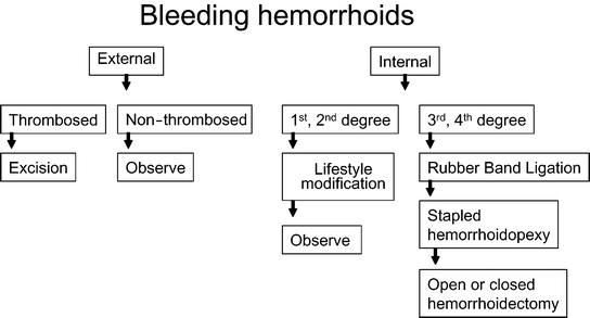 Bleeding Hemorrhoids | SpringerLink