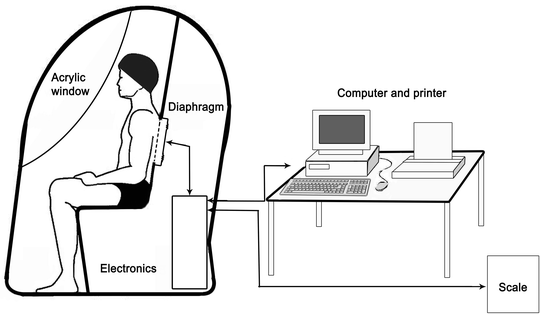 Body Fat Measurement by Air Displacement Plethysmography: Theory ...