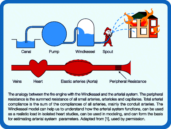 The Arterial Windkessel | SpringerLink