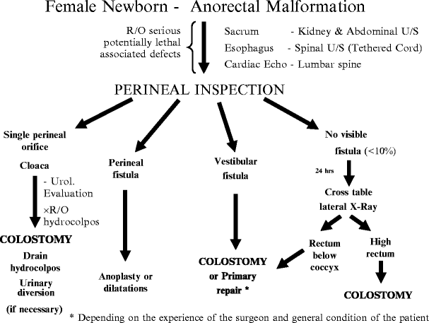 Anorectal Malformations | SpringerLink