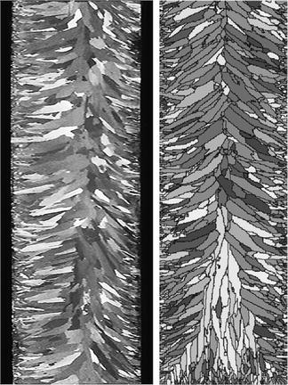 Microsegregation | SpringerLink