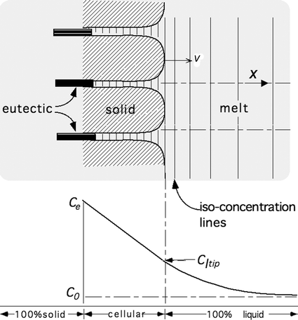 Microsegregation | SpringerLink