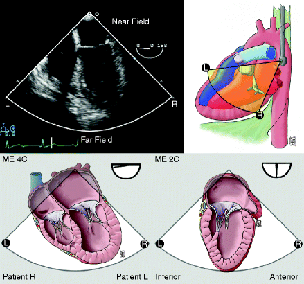Normal Tee Views | SpringerLink