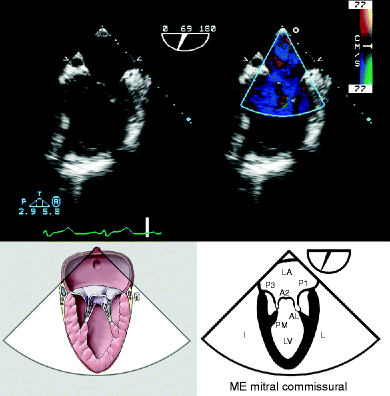 Normal Tee Views | SpringerLink