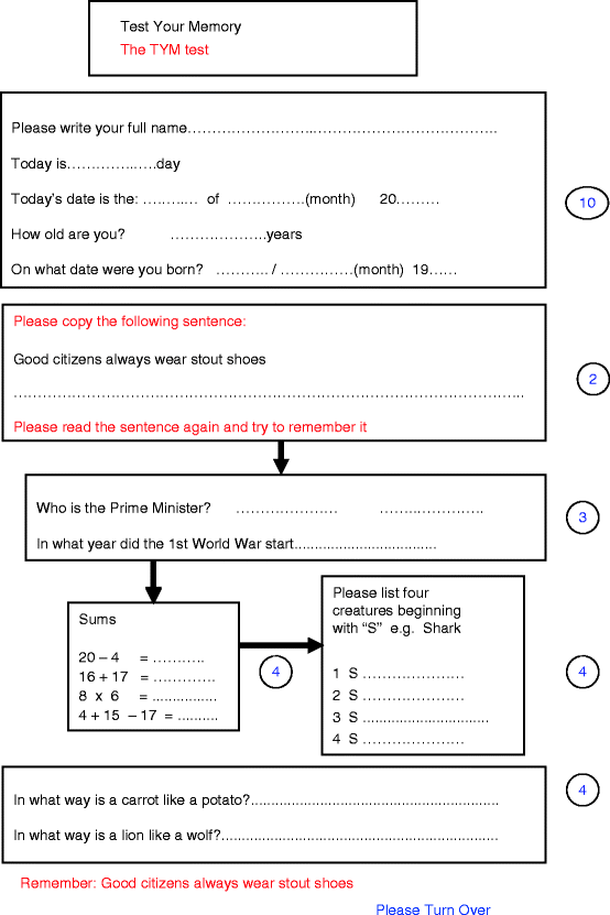 TYM (Test Your Memory) Testing | SpringerLink