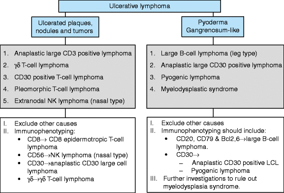 Pyoderma Gangrenosum-Like Lesions | SpringerLink