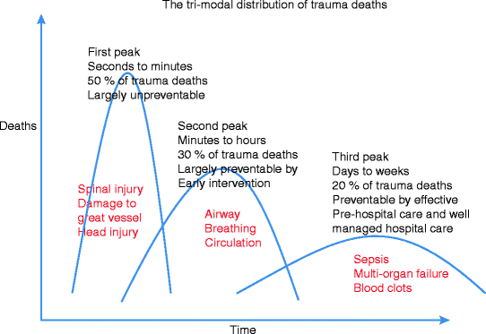 Prehospital Care | SpringerLink