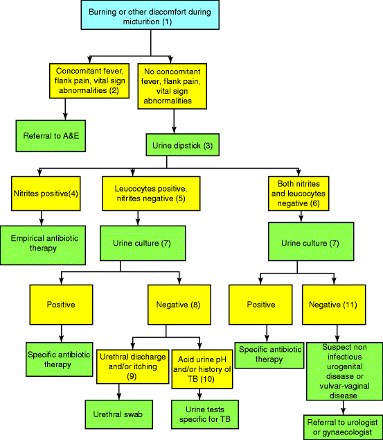 Female Dysuria/Urinary Tract Infection | SpringerLink