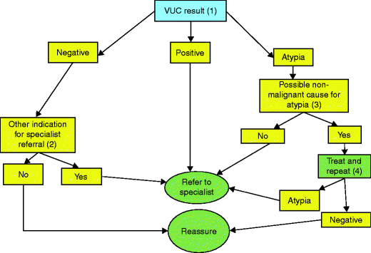 How to Interpret Findings of a Urine Cytology Test | SpringerLink