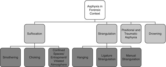 Death by Hanging | SpringerLink