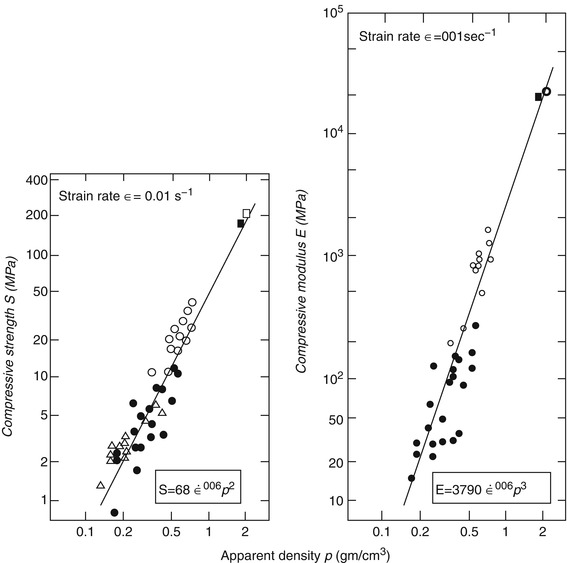 The Compressive Behavior of Bone as a Two-Phase Porous Structure ...