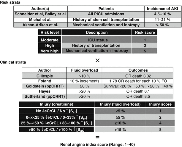 Acute Kidney Injury | SpringerLink