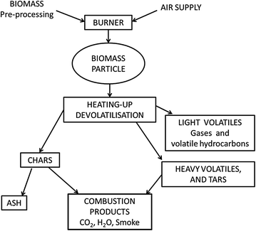 The Combustion of Solid Biomass | SpringerLink