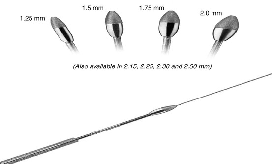 Calcific Lesion Interventions | SpringerLink