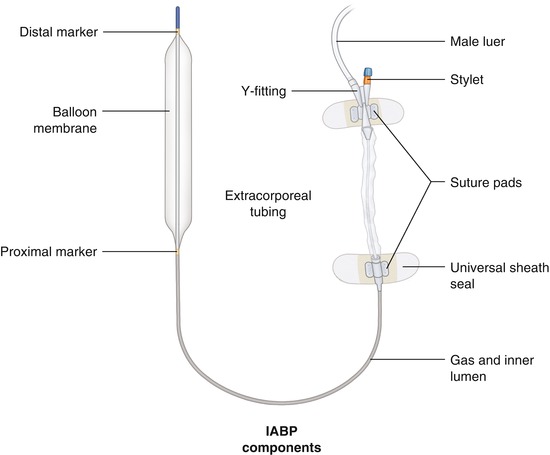 Advanced Hemodynamic Support | SpringerLink