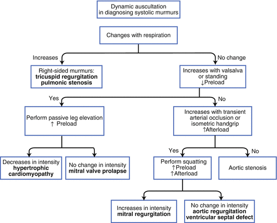 Dynamic Auscultation | SpringerLink