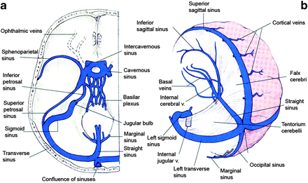 Monitoring of Jugular Venous Oxygen Saturation | SpringerLink