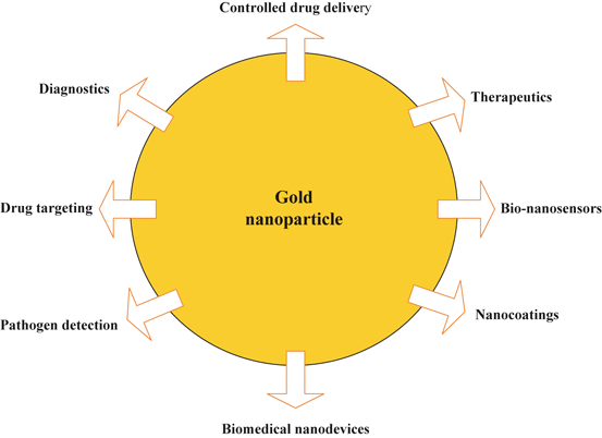 Biomedical Applications of Gold Nanoparticles | SpringerLink