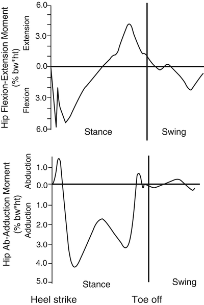 Function of the Normal Hip | SpringerLink