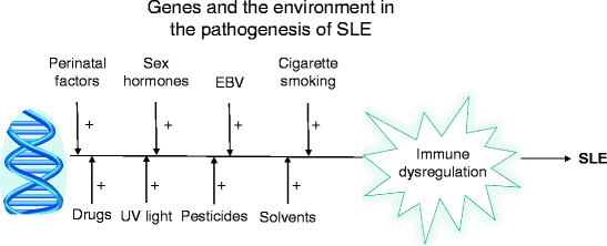 SLE Epidemiology: Epidemiologic Subtypes and Risk Factors for ...