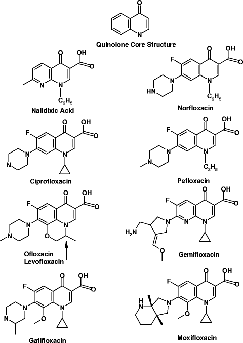Review of the Quinolone Family | SpringerLink