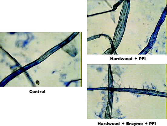 Fiber Modification | SpringerLink