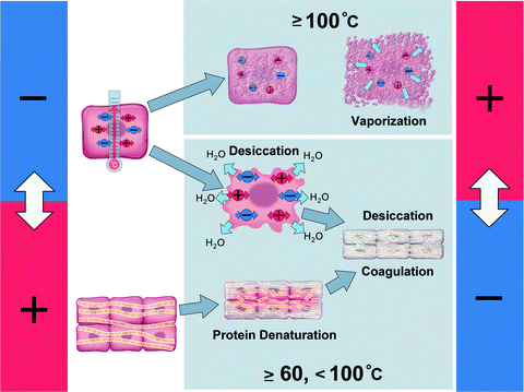 Fundamentals of Electrosurgery Part I: Principles of Radiofrequency ...