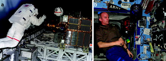 Miniaturization and Micro/Nanotechnology in Space Robotics | SpringerLink