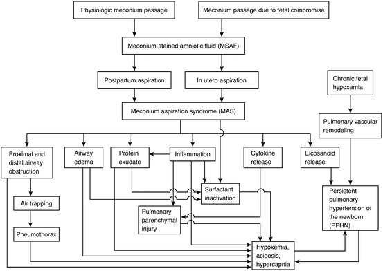 Meconium Aspiration Syndrome | SpringerLink