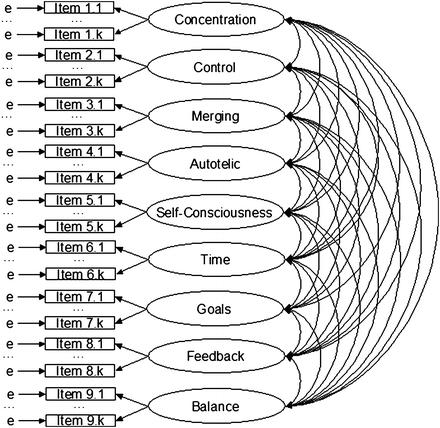 On the Measurement and Conceptualization of Flow | SpringerLink