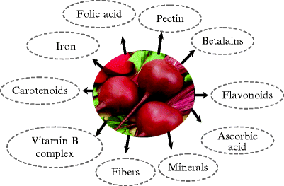 Anti-diabetic Potentials of Red Beet Pigments and Other Constituents ...