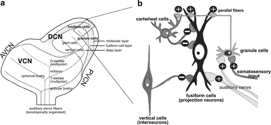 Molecular Mechanism of Tinnitus | SpringerLink