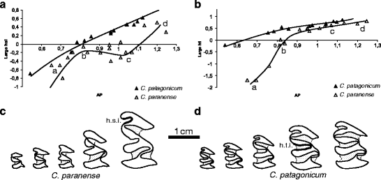 Paleontology, Evolution and Systematics of Capybara | SpringerLink