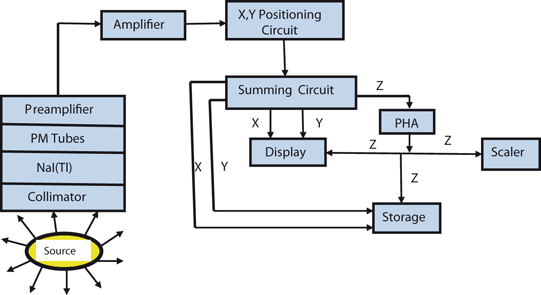 Gamma Cameras | SpringerLink