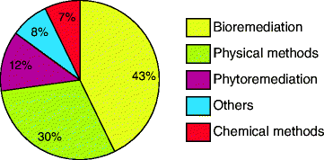 Bioaugmentation for Groundwater Remediation: an Overview | SpringerLink
