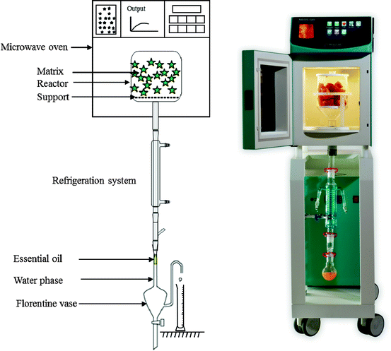 Microwave-Assisted Extraction of Essential Oils and Aromas | SpringerLink