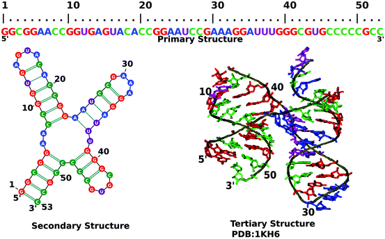 Graph Applications to RNA Structure and Function | SpringerLink