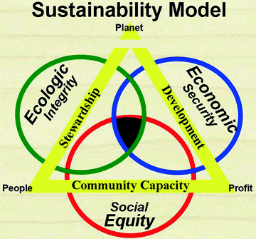 Operationalizing Sustainability in Community Development | SpringerLink