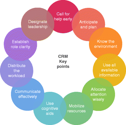 Crisis Resource Management | SpringerLink