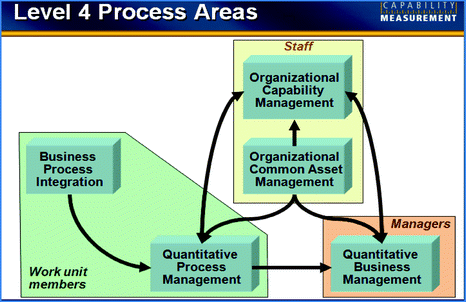 Business Process Management (Process Life Cycle, Process Maturity ...