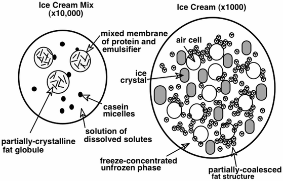 Ice Cream Structure | SpringerLink