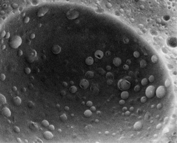 Ice Cream Structure | SpringerLink