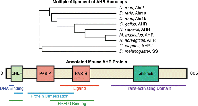 Aryl Hydrocarbon Receptor | SpringerLink