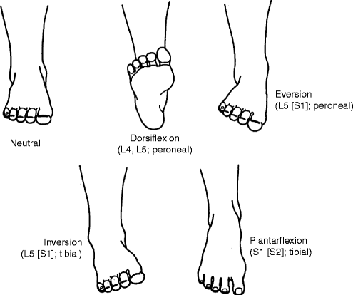 Clinical Assessment in Neuromuscular Disorders | SpringerLink